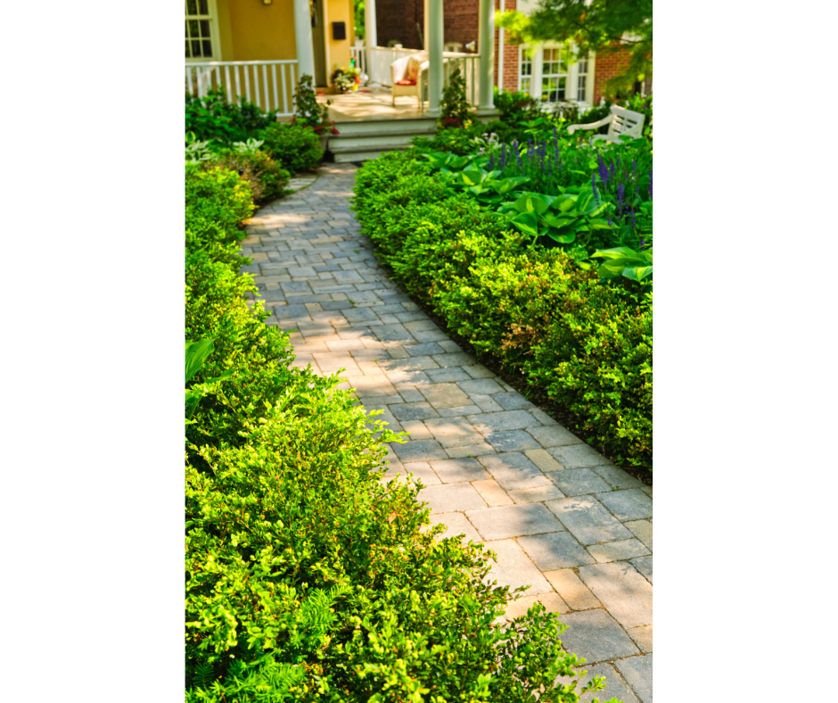 Pavaje curte: idei de amenajare a grădinii | Concept Casa